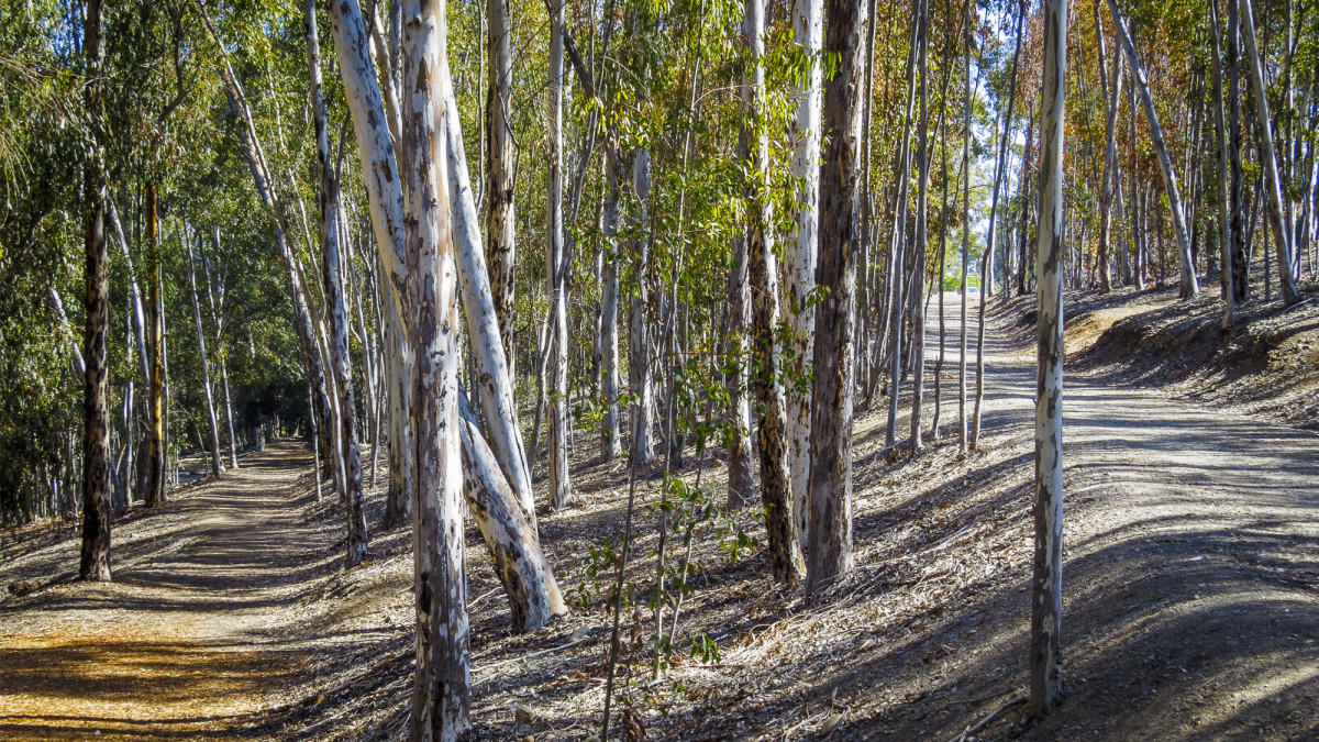 Scripps Ranch Technology Park – Murphy Development Company